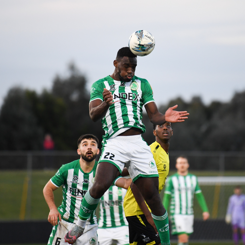 Football News - Green Gully Soccer Club